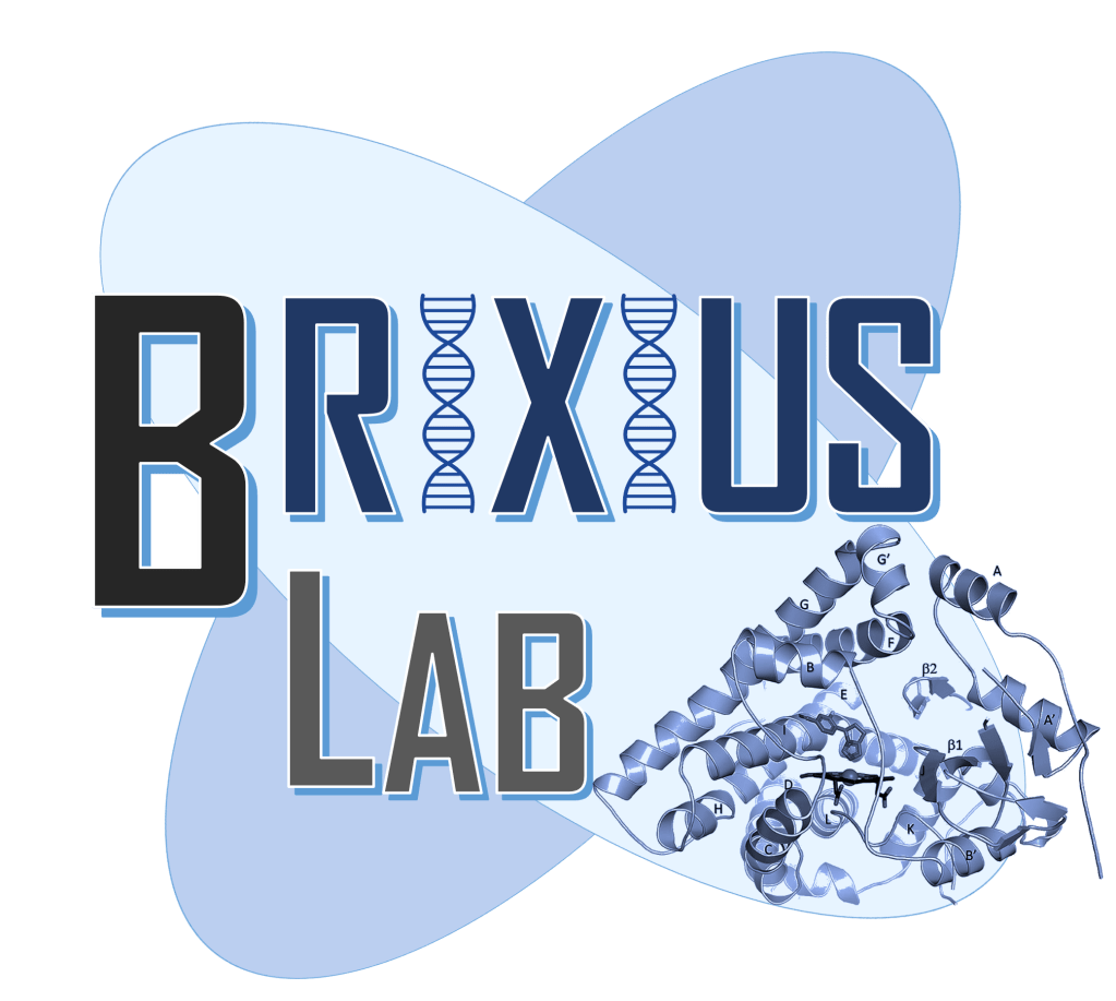 The Brixius Lab